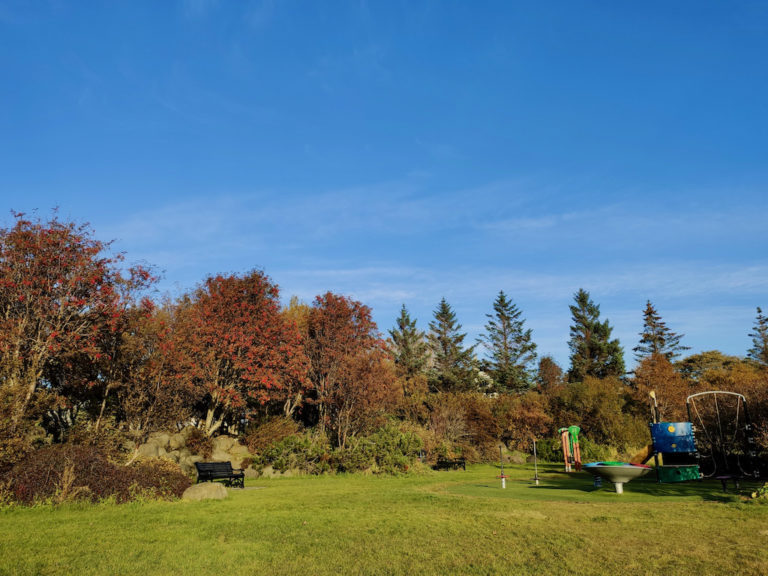 A city tour of Reykjavik to discover its most beautiful spots - Hop On ...