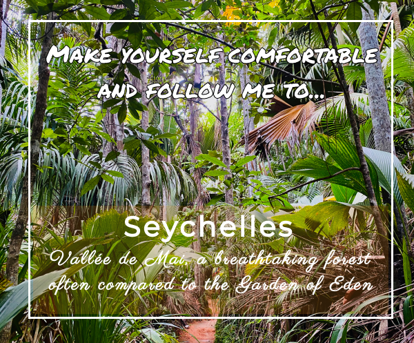 Seychelles - Praslin Island - Vallée de Mai - Hop On My Journey